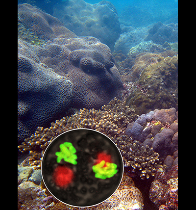 Home | Marine Sciences