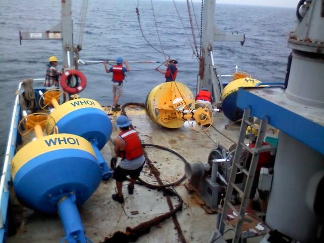 RVCT Gallery | Marine Sciences