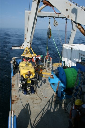 RVCT Gallery | Marine Sciences