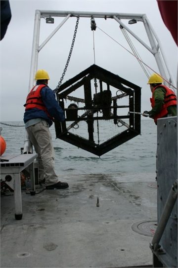 RVCT Gallery | Marine Sciences