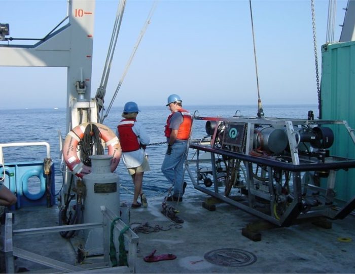 RVCT Gallery | Marine Sciences