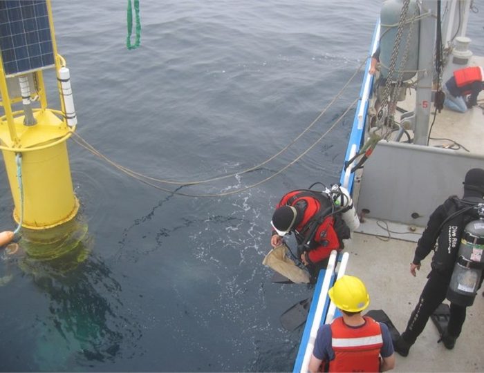 RVCT Gallery | Marine Sciences